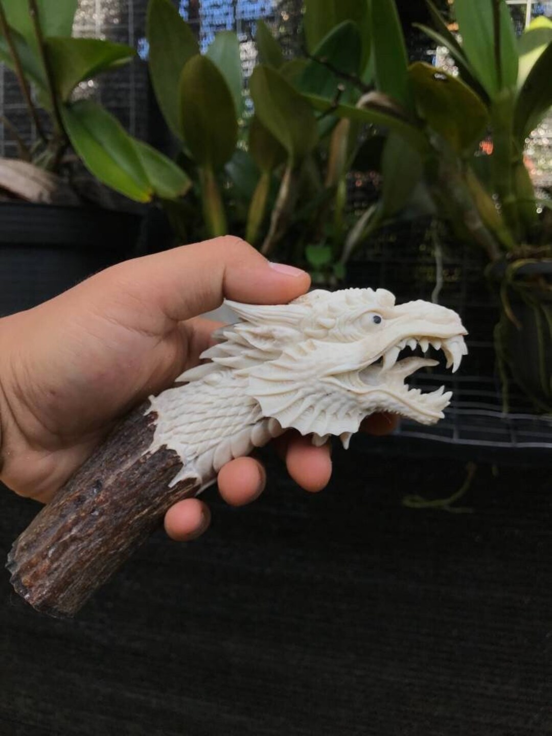 Antler Carving Hand Carved Deer Antler for Knife Handles. - Etsy