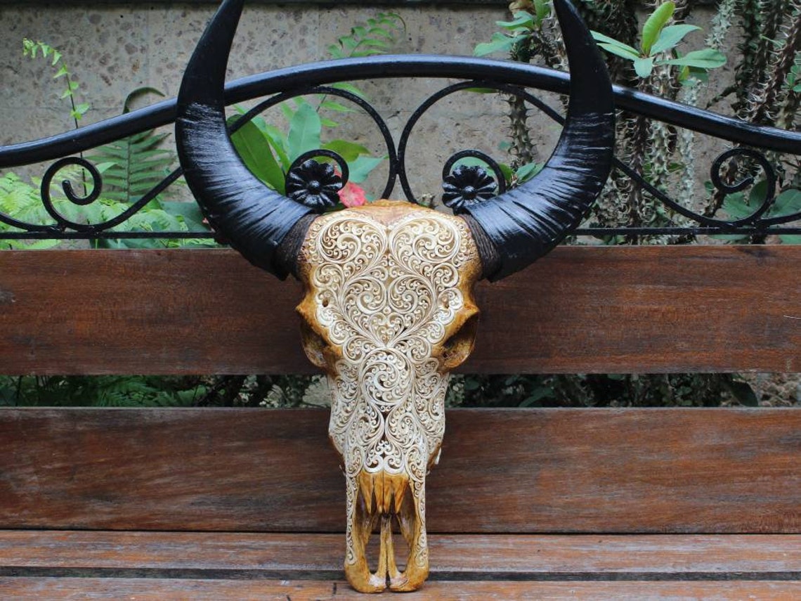 Buffalo Skull Carving Wall Decor REAL Hand Carved Buffalo - Etsy
