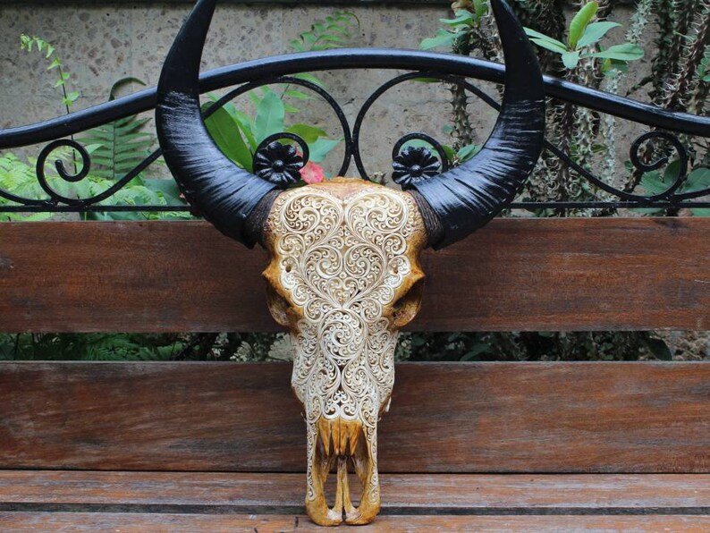 Buffalo Skull Carving Wall Decor REAL Hand Carved Buffalo - Etsy