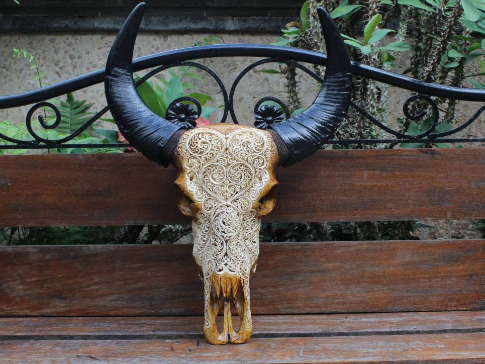 Buffalo Skull Carving Wall Decor REAL Hand Carved Buffalo - Etsy