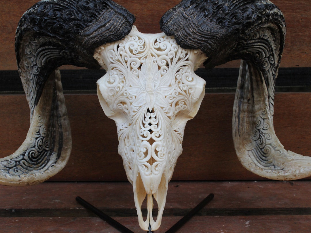 Hand Carved Ram Skull With Horns: Indonesian Sheep Skull Decor - Etsy