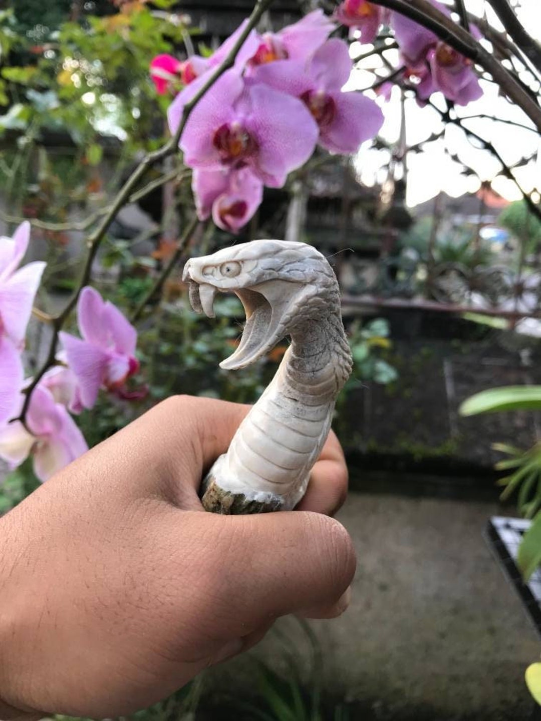 Antler Carving Snake for Knife Handles. - Etsy