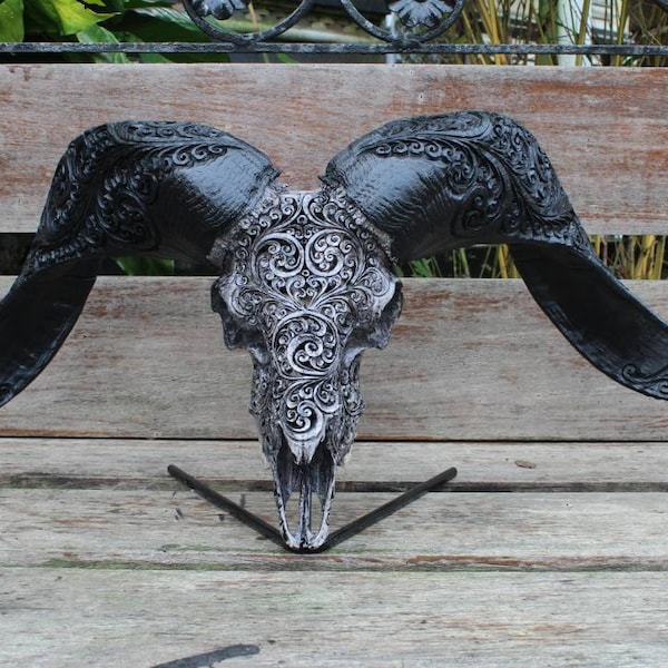 Sheep Skull - Etsy