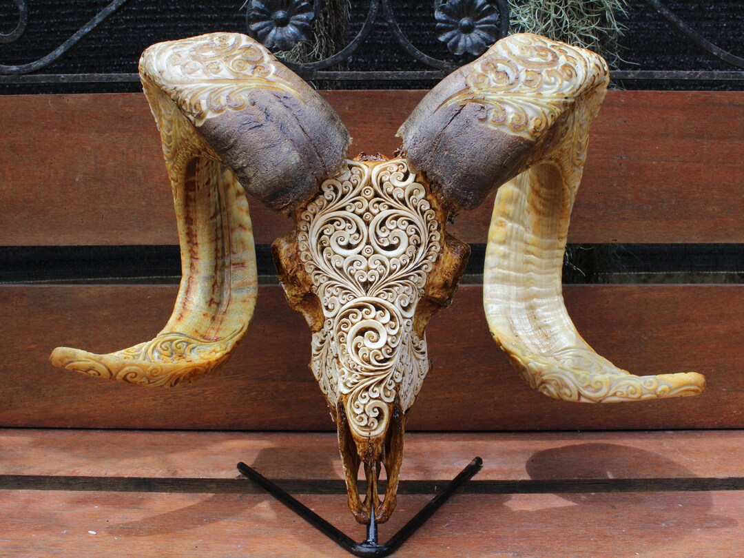 CARVED Ram Skull Decor - REAL Hand Carved Ram Skull With Horn Carving ...
