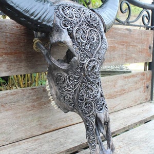 Water Buffalo Skull Carving - REAL Hand Carved Buffalo Skull Wall Decor ...