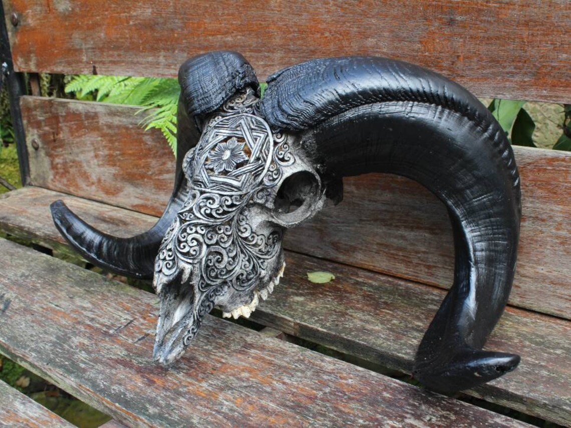 RAM SKULL CARVED Real Ram Skull With Horn Ram Skull - Etsy
