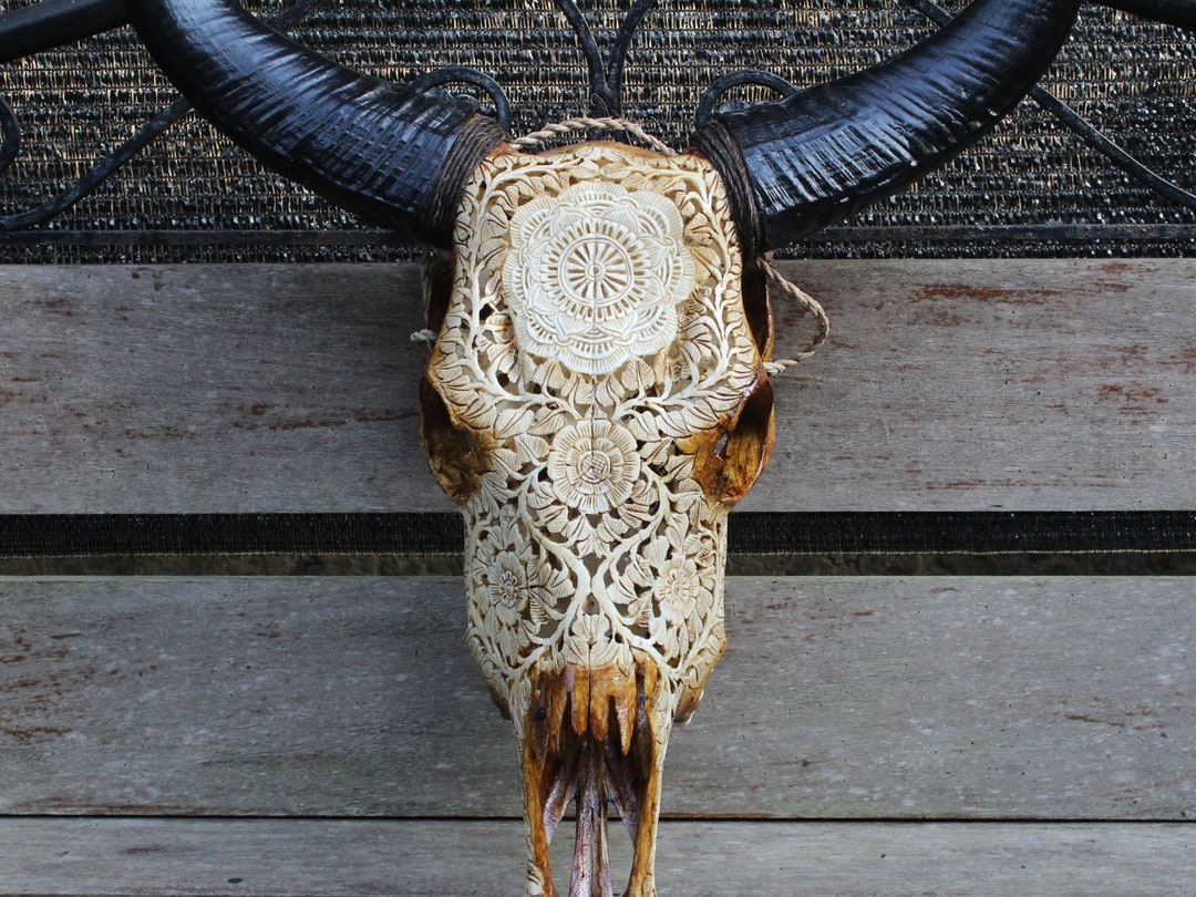 Cow Skull Carving - REAL Hand Carved Cow Skull Wall Decor With Black ...