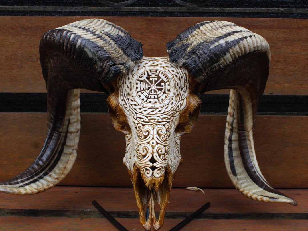 Hand Carved Ram Skull Decor: Indonesian Sheep Skull Art - Etsy