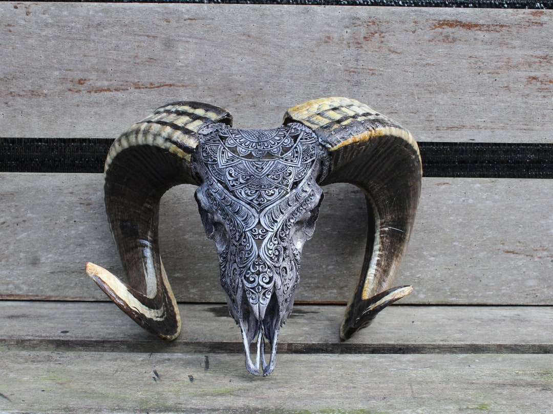 CARVED Ram Skull - REAL Hand Carved Ram Skull Decor, Ram Skull Carving ...