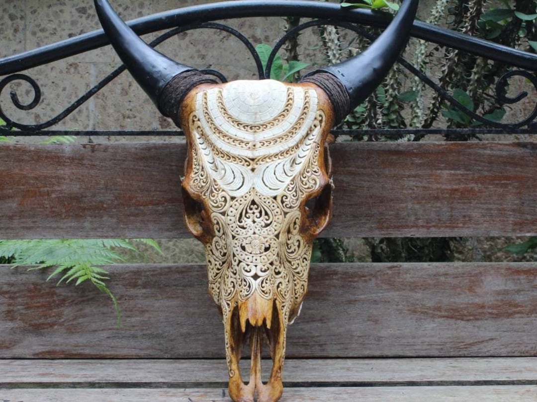 Cow Skull Carving - REAL HAND Carved Cow Skull Wall Hanging, Carved Cow ...