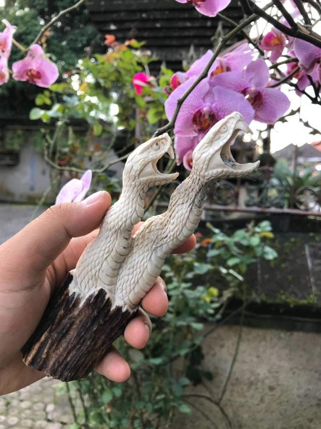 Antler Carving - REAL Hand Carved Snake Head From Deer Antler for ...