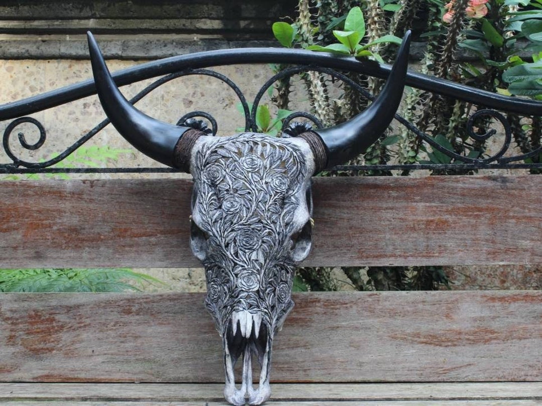 COW Skull Carving - REAL Hand Carved Cow Skull Wall Decor, Cow Skull ...
