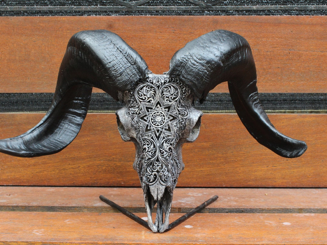 CARVED RAM Skull Decor - REAL Hand Carved Ram Skull With Horn, Ram ...