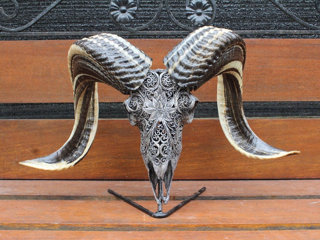 Carved Ram Skull Home Decor | Real Hand Carved Ram Skull Lotus Gray ...