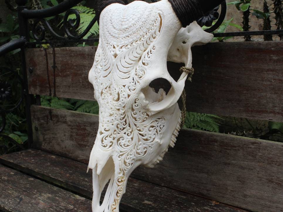 COW Skull Carving BIG Real Hand Carved Cow Skull Wall Decor. - Etsy