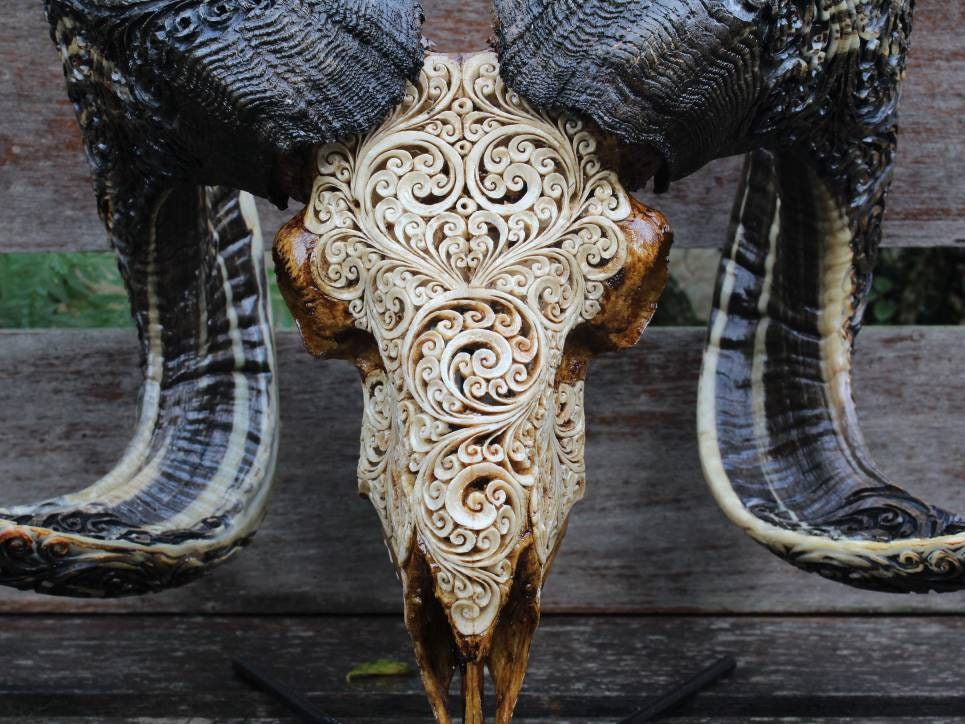 CARVED RAM Skull With Horn BIG Ram Skull Decor With Horn - Etsy UK