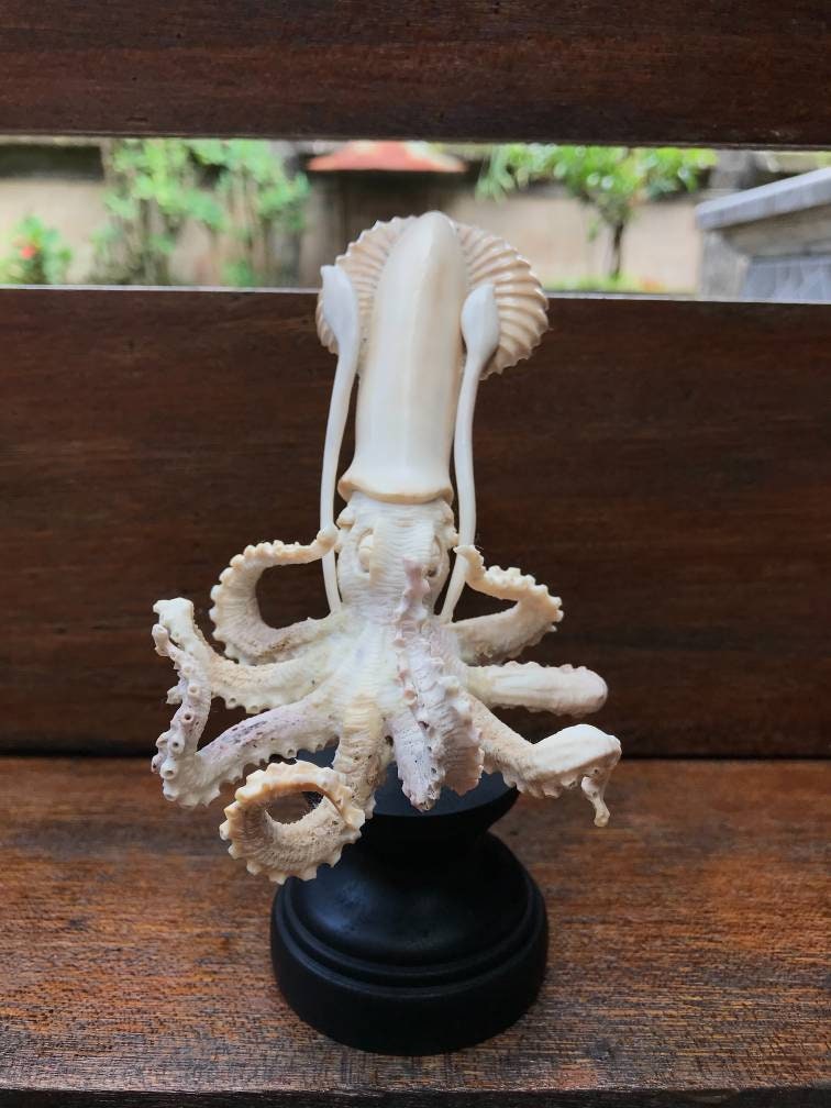 Antler Carving Hand Carved Deer Antler Cuttlefish Hand | Etsy