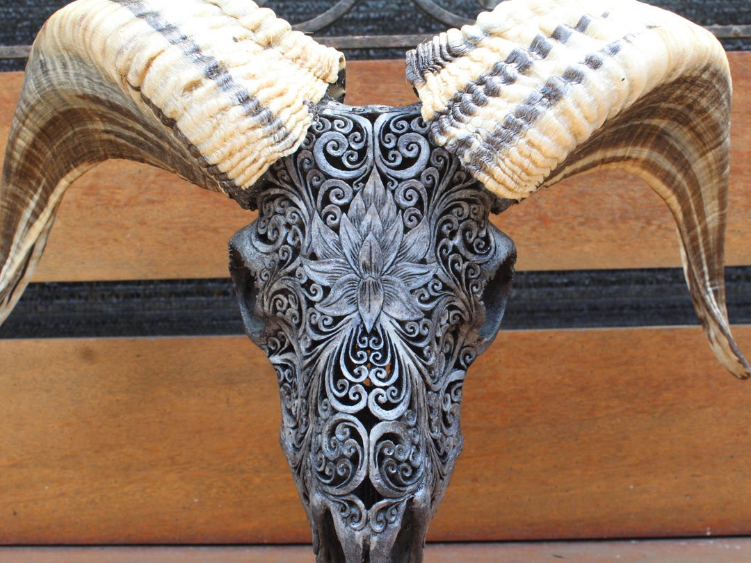 CARVED Ram Skull - REAL Hand Carved Ram Skull Decor, Ram Skull Carving ...