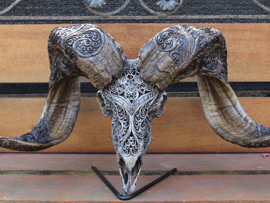 CARVED Ram Skull - REAL Hand Carved Ram Skull With Horn Carving, Ram ...