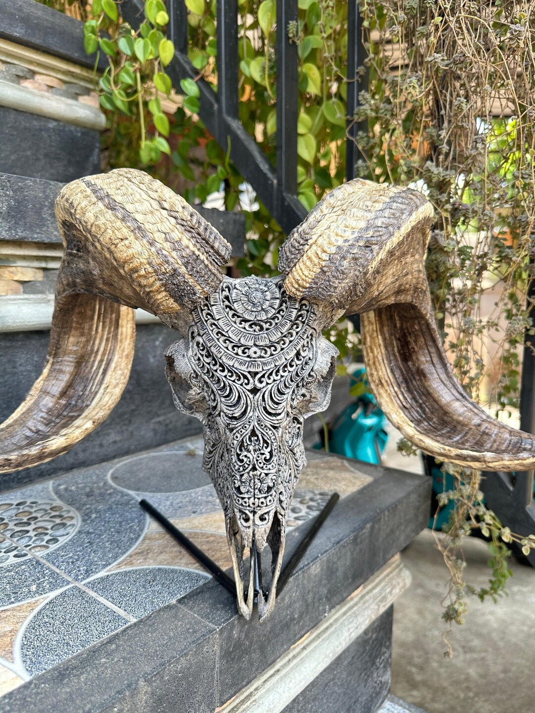 Carved RAM Skull Real Hand Carved Ram Skull Decor, Ram Skull Mandala ...
