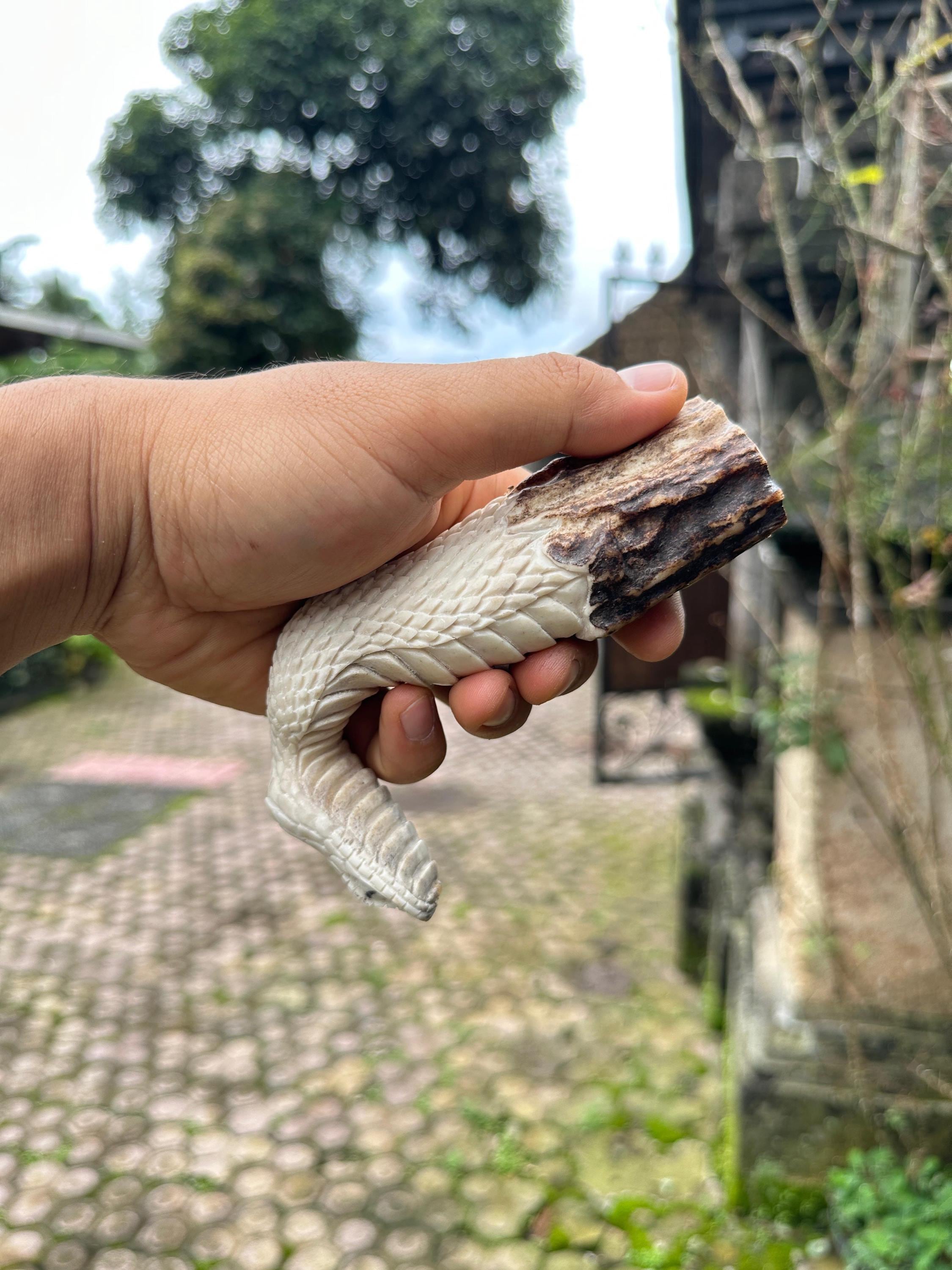 Antler Carving Snake for Knife Handles. - Etsy