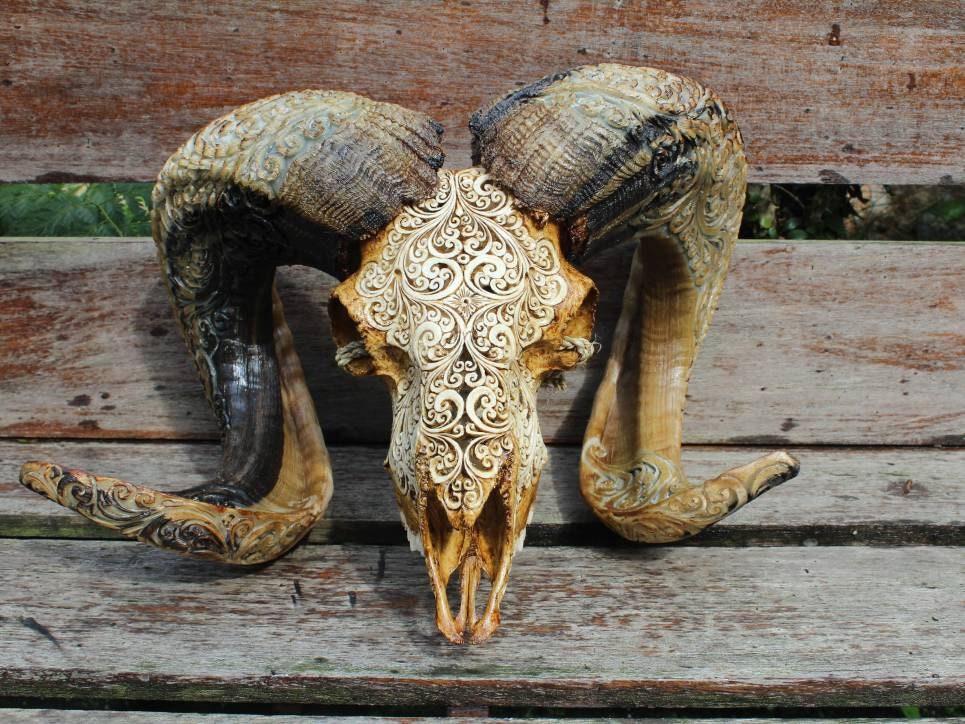 CARVED Ram Skull Decor REAL Hand Carved Ram Skull With Horn - Etsy
