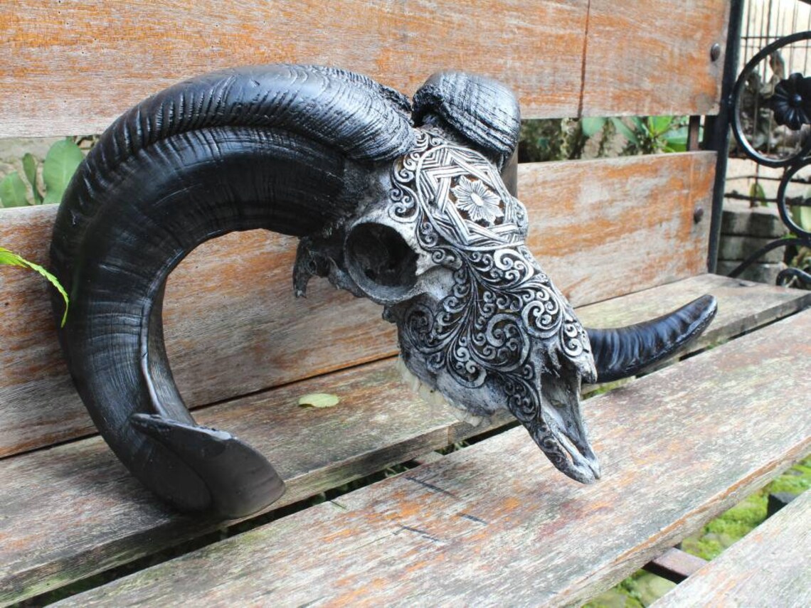 RAM SKULL CARVED Real Ram Skull With Horn Ram Skull - Etsy