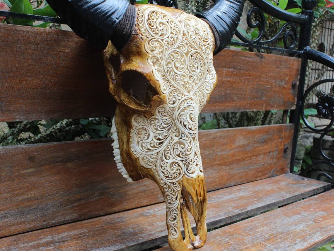 Buffalo Skull Carving Wall Decor REAL Hand Carved Buffalo - Etsy
