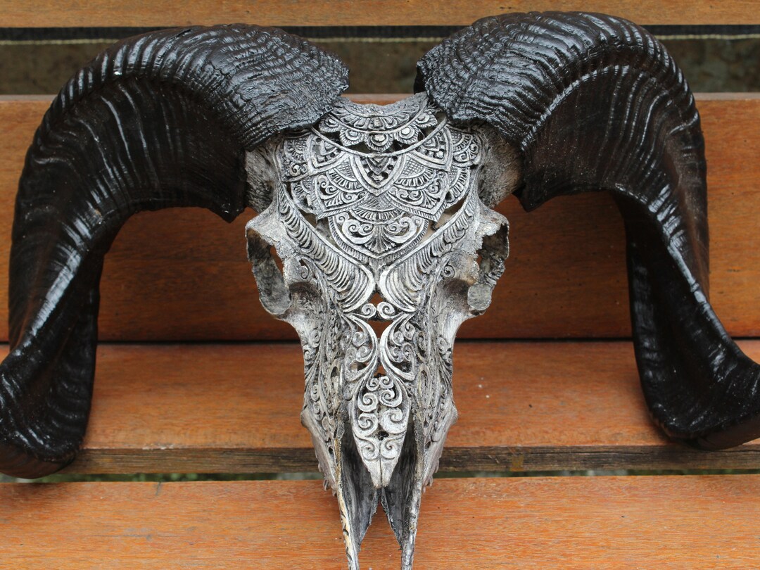 Carved RAM Skull - Real Hand Carved Ram Skull Decor, Ram Skull Mandala ...