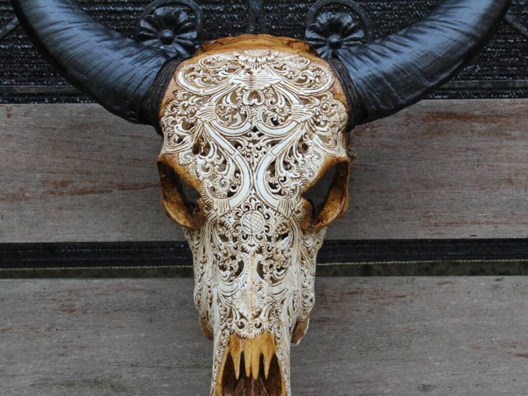 Buffalo Skull Carving - CARVED Water Buffalo Skull Pattern Bali. - Etsy