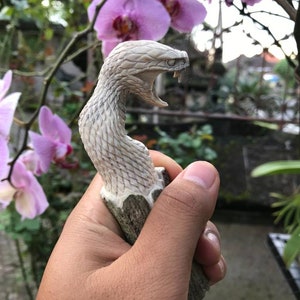 Antler Carving Snake for Knife Handles. - Etsy