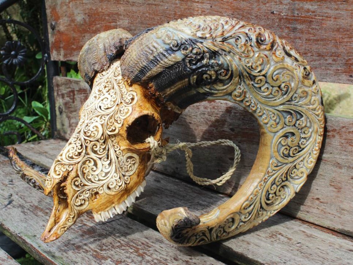 CARVED Ram Skull Decor REAL Hand Carved Ram Skull With Horn - Etsy