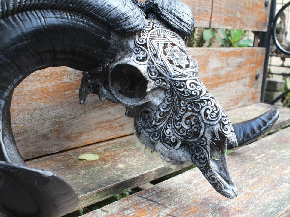 RAM SKULL CARVED Real Ram Skull With Horn Ram Skull - Etsy