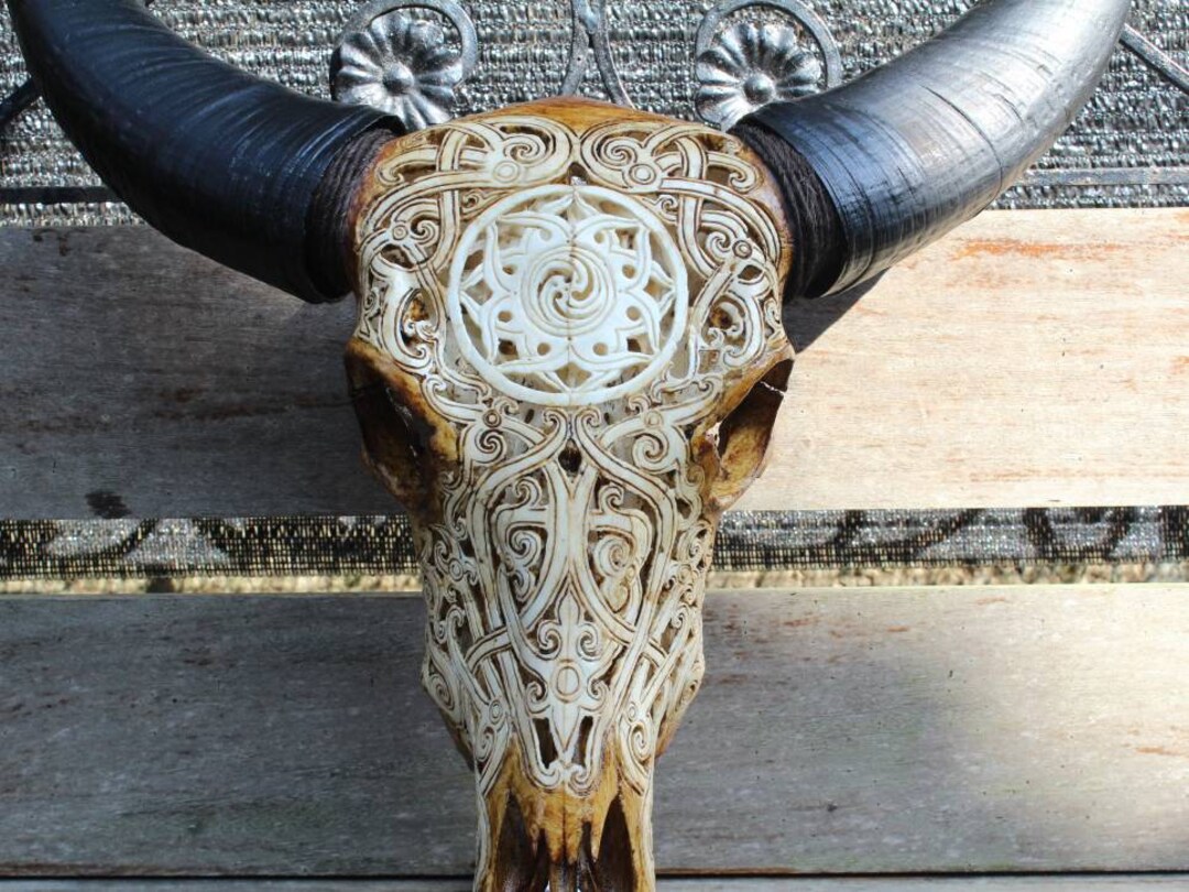 Buffalo Skull Carving - REAL Hand Carved Water Buffalo Skull With Horn ...