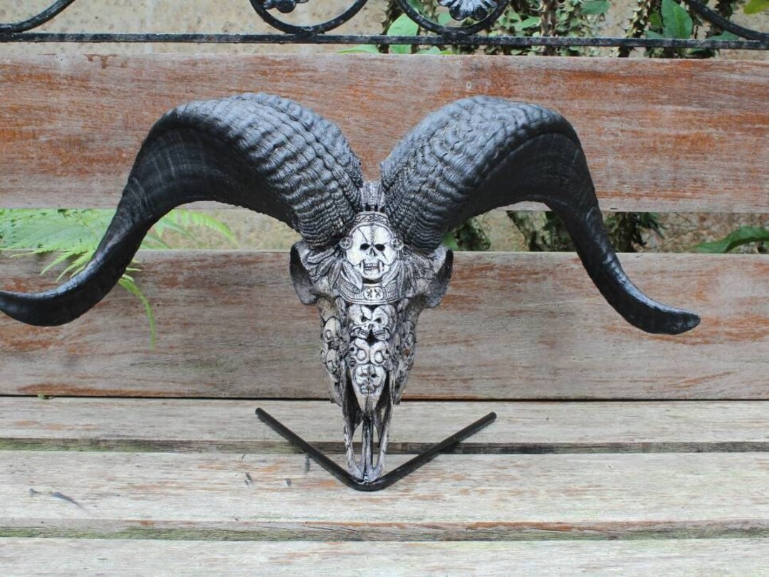 CARVED Ram Skull - REAL Hand Carved Ram Skull With Horn, Ram Skull ...