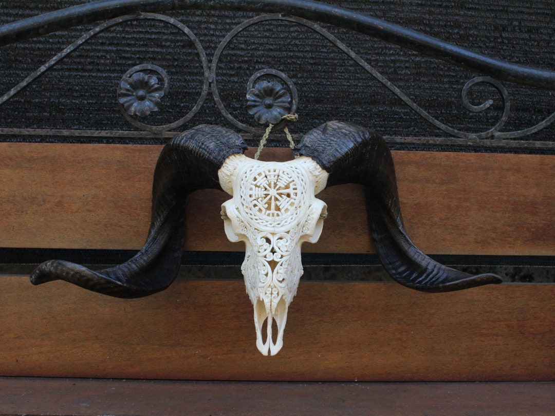 Carved Ram Skull - REAL HAND Carved Ram Skull Flower Motif With ...