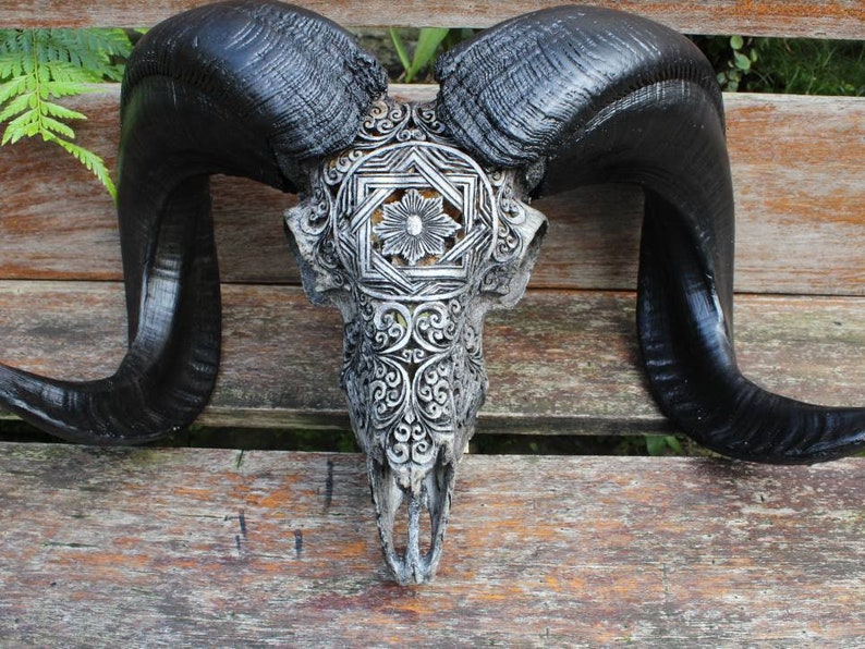 RAM SKULL CARVED Real Ram Skull With Horn Ram Skull - Etsy