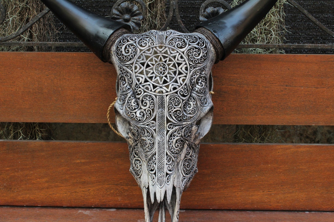 COW Skull Carving - REAL Hand Carved Cow Skull Wall Decor, Cow Skull ...