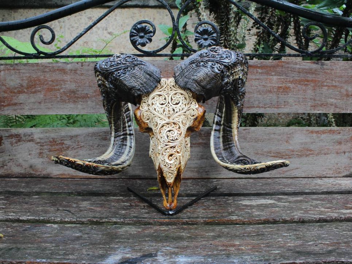 CARVED RAM Skull With Horn BIG Ram Skull Decor With Horn - Etsy