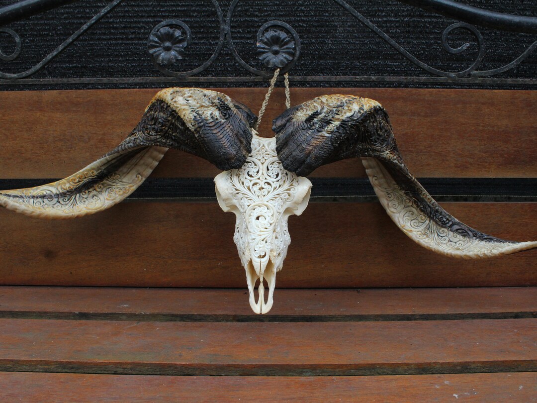 Hand Carved Ram Skull With Horns: Indonesian Sheep Skull - Etsy