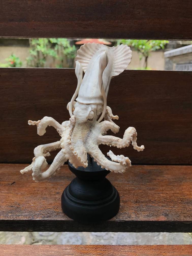 Antler Carving Hand Carved Deer Antler Cuttlefish Hand - Etsy