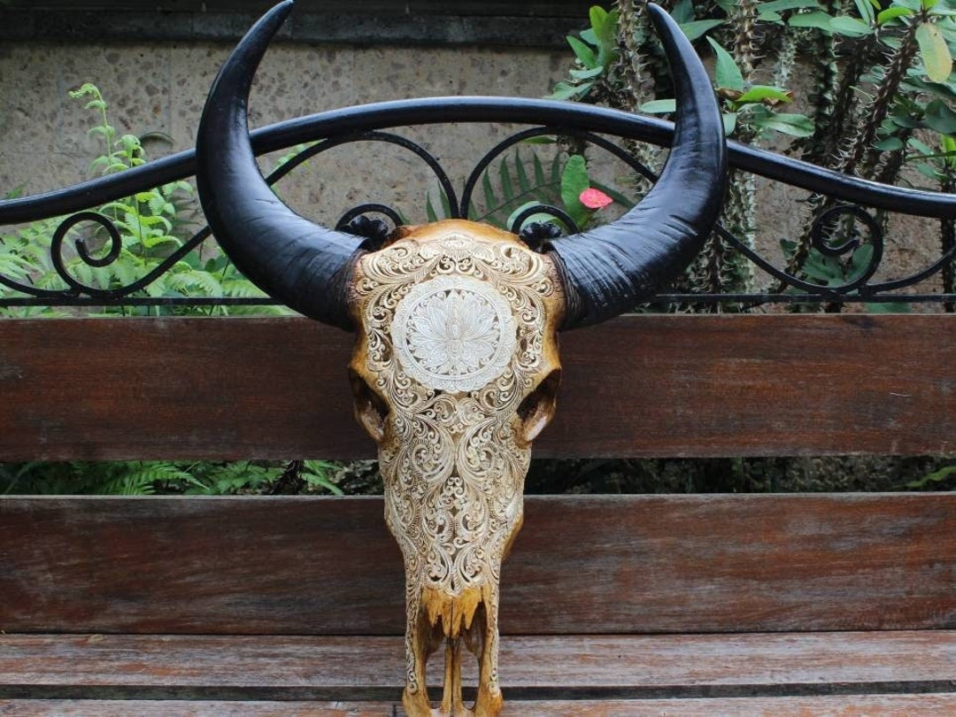 Buffalo Skull Carving Wall Decor - REAL HAND Carved Buffalo Skull With ...