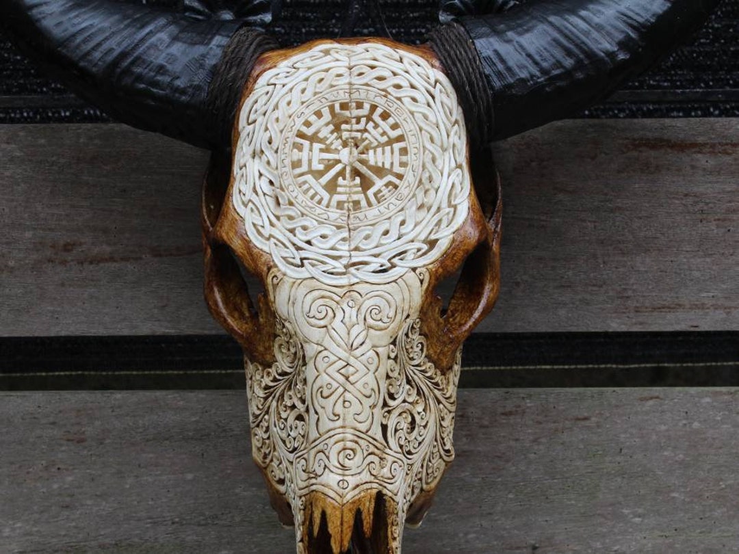 COW SKULL Carving - Viking Carved Cow Skull With Buffalo Horn. - Etsy