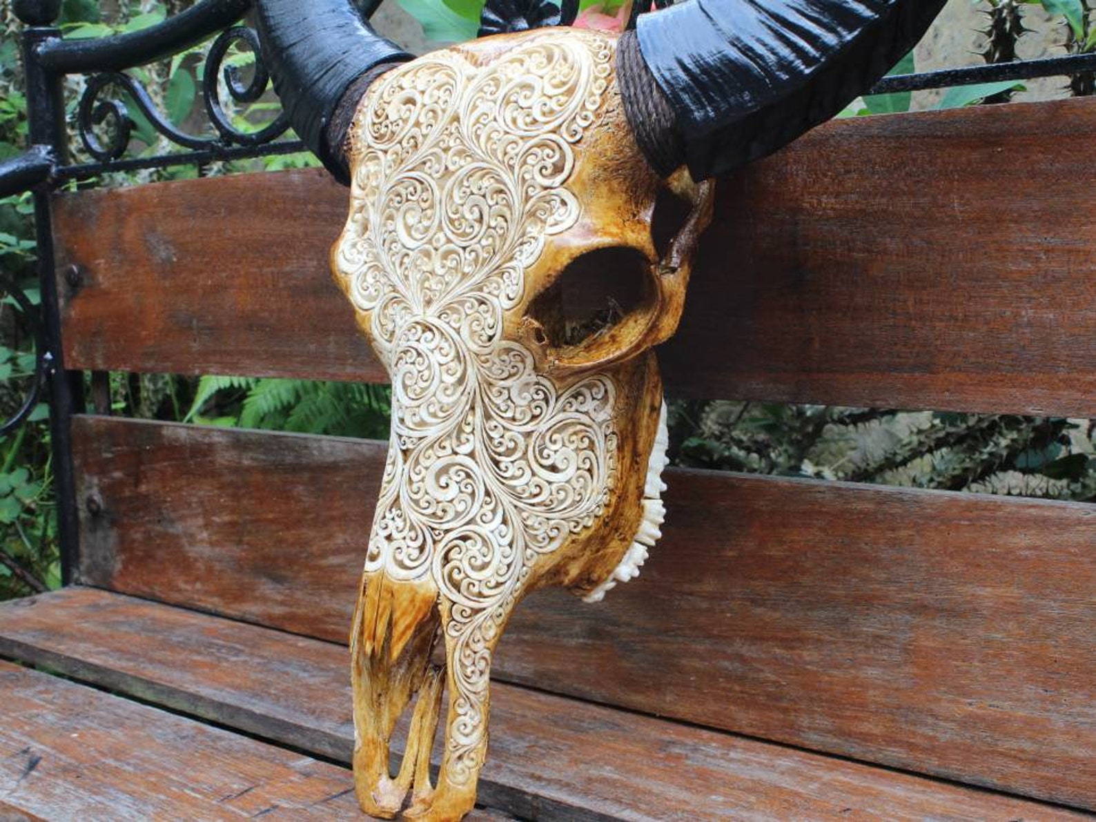Buffalo Skull Carving Wall Decor REAL Hand Carved Buffalo Skull With ...