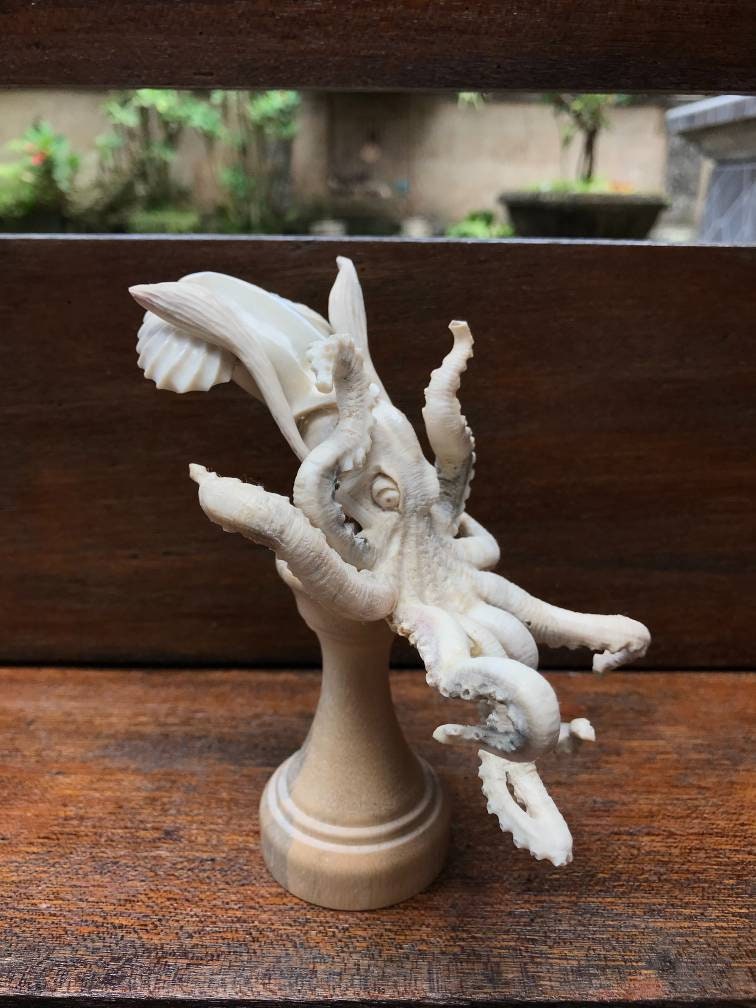Antler Carving Hand Carved Deer Antler Cuttlefish Hand | Etsy