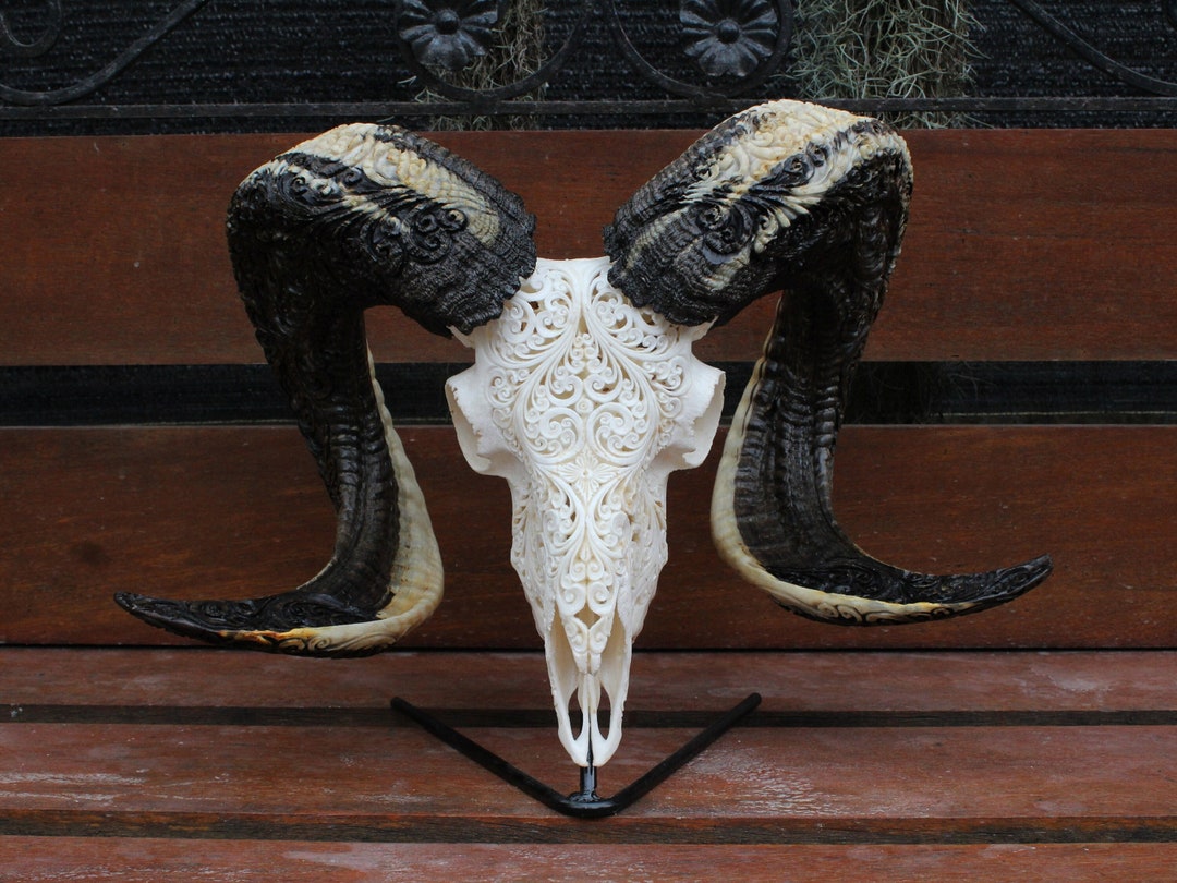 CARVED BIG Ram Skull - REAL Hand Carved Ram Skull With Horn Carving ...