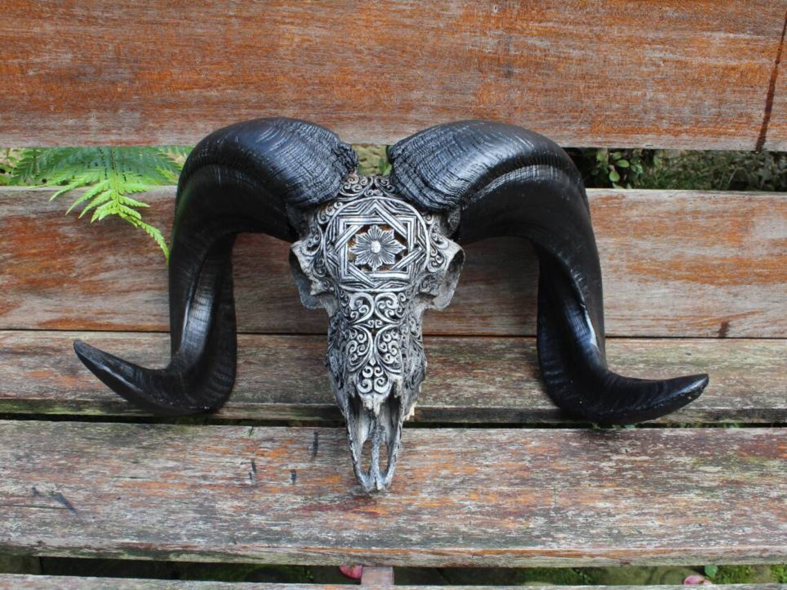 RAM SKULL CARVED Real Ram Skull With Horn Ram Skull - Etsy