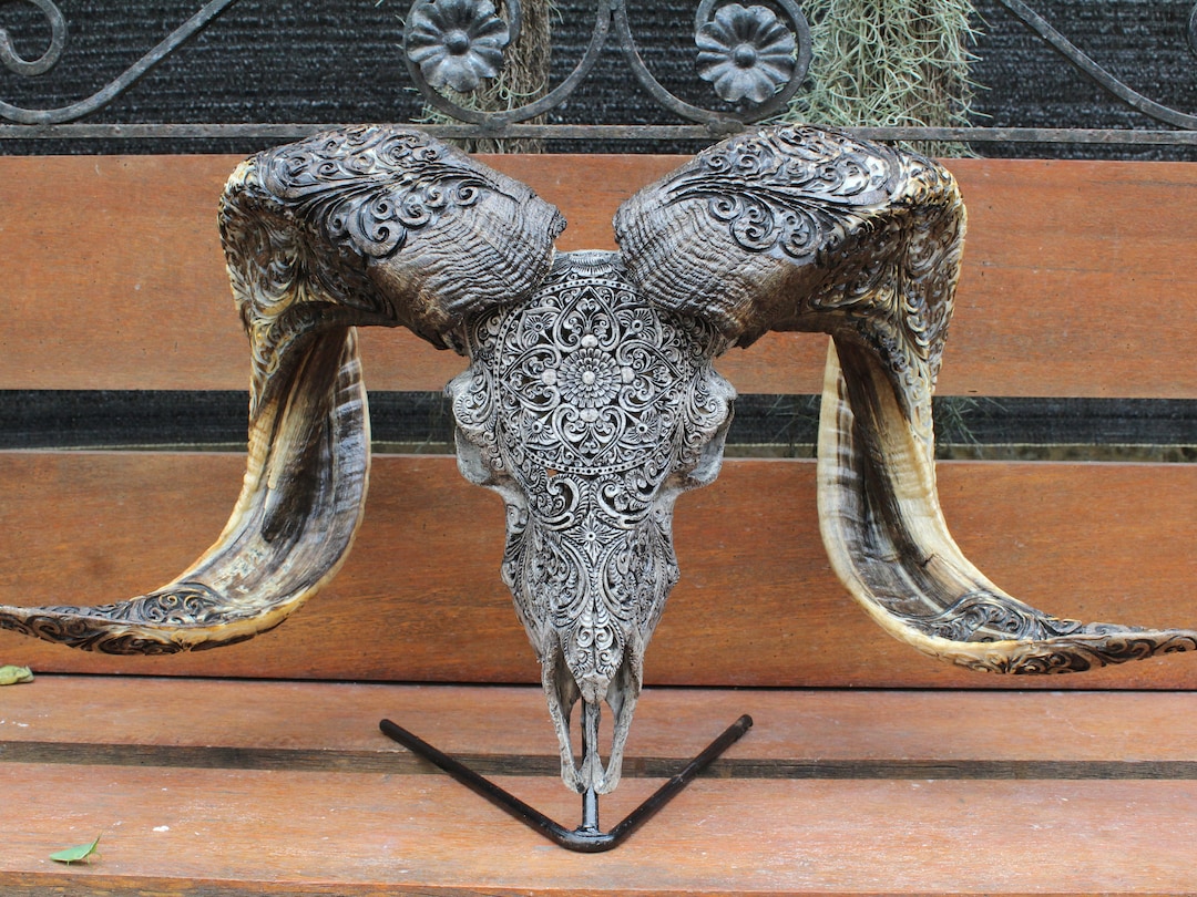 CARVED Ram Skull Decor REAL Hand Carved Ram Skull With Horn Carving. - Etsy