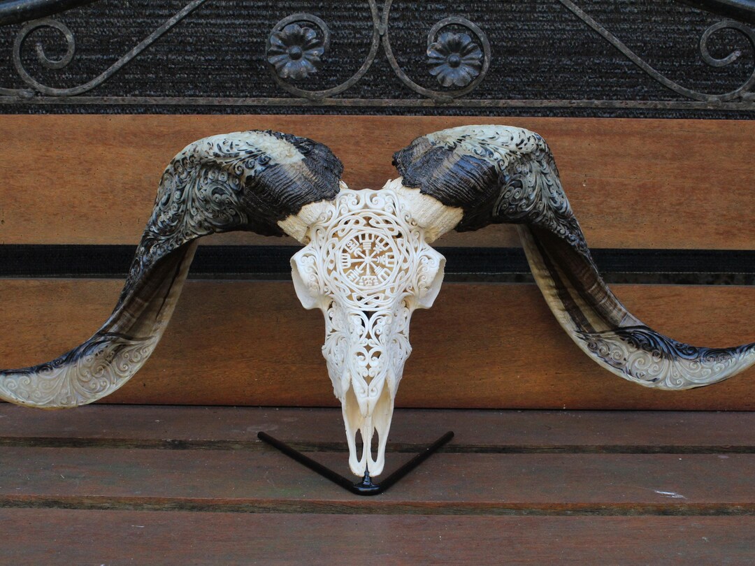 BIG RAM Skull Carving With Beautiful Horn - Carved HUGE Ram Skull With ...