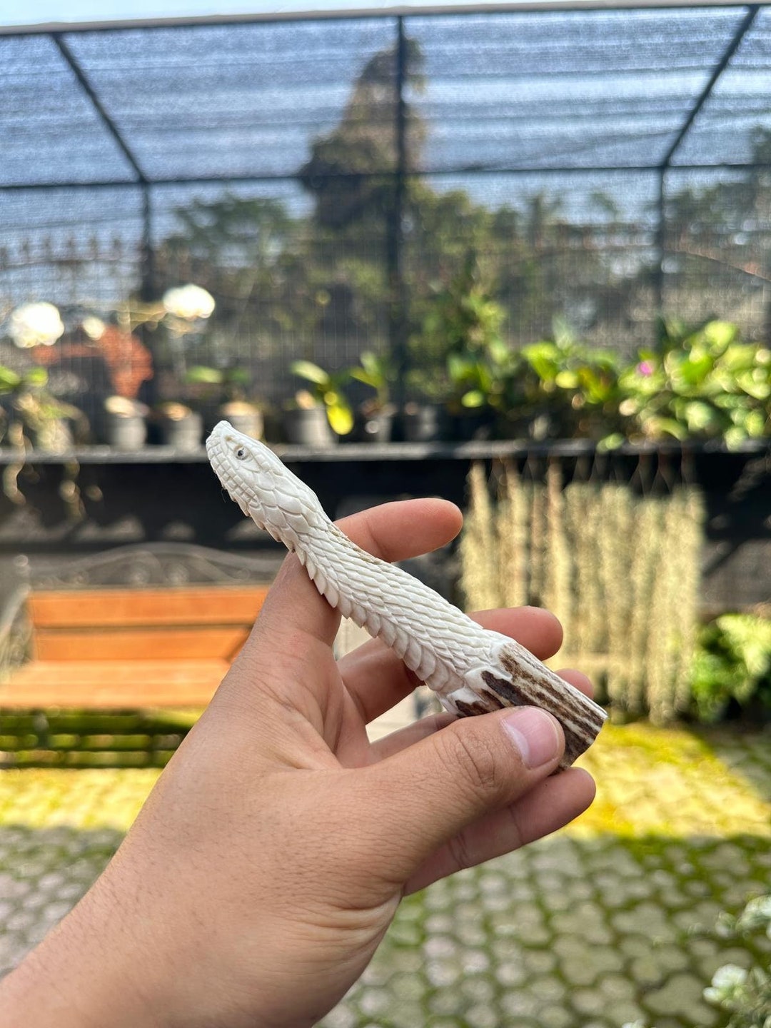 Antler Carving - Carved Snake for Knife Handles. - Etsy